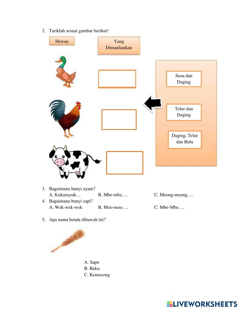 Hewan ternak worksheet | Live Worksheets