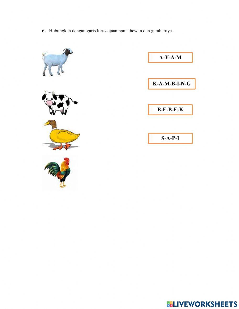 Hewan ternak worksheet | Live Worksheets