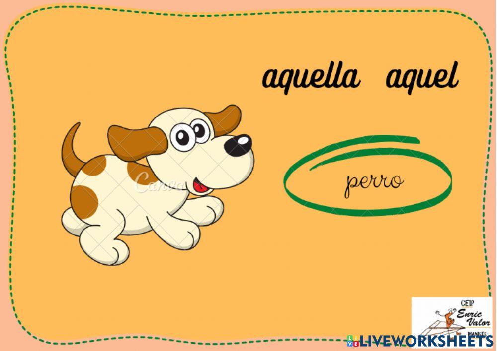 Aquel aquella lectura r rr worksheet | Live Worksheets