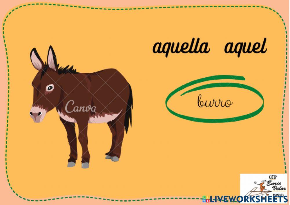 Aquel aquella lectura r rr worksheet | Live Worksheets