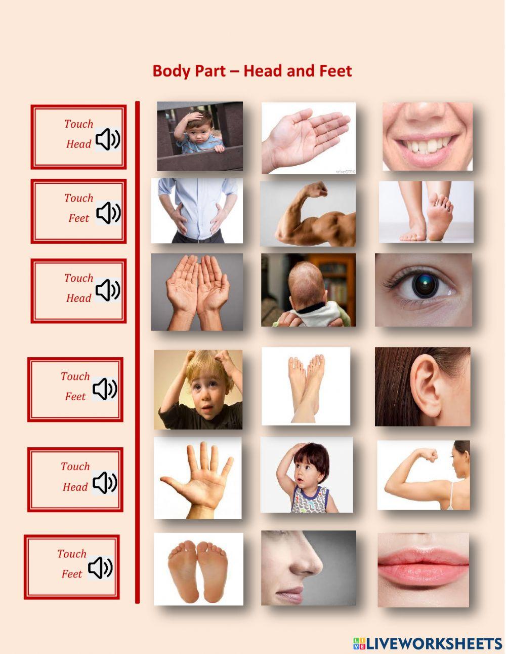 Body part - head and Feet - LN, Dashly and George (1.01) worksheet ...