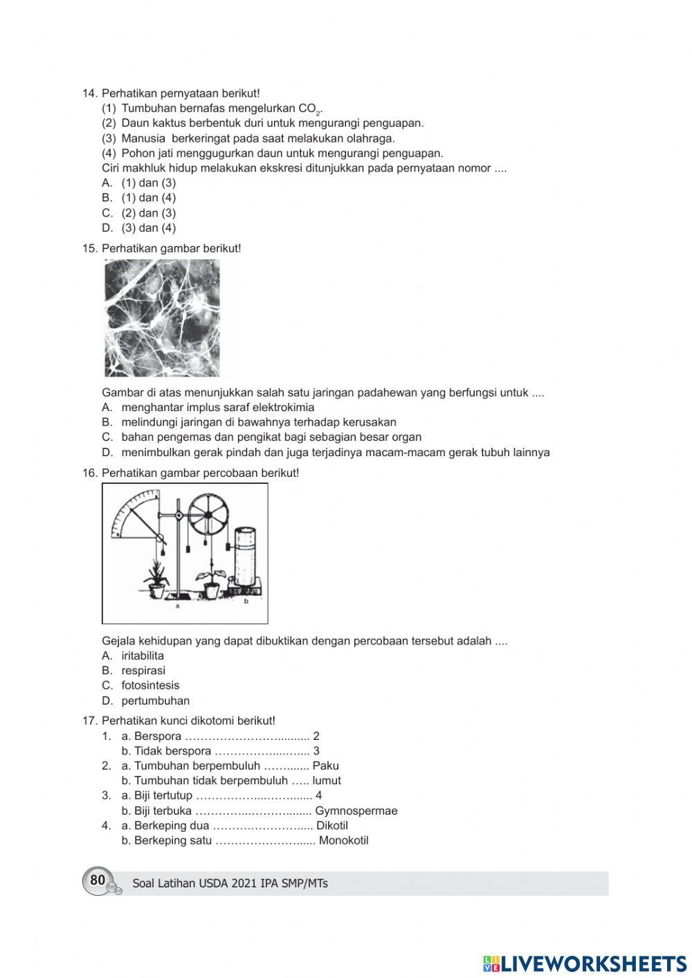 Latihan USDA worksheet | Live Worksheets
