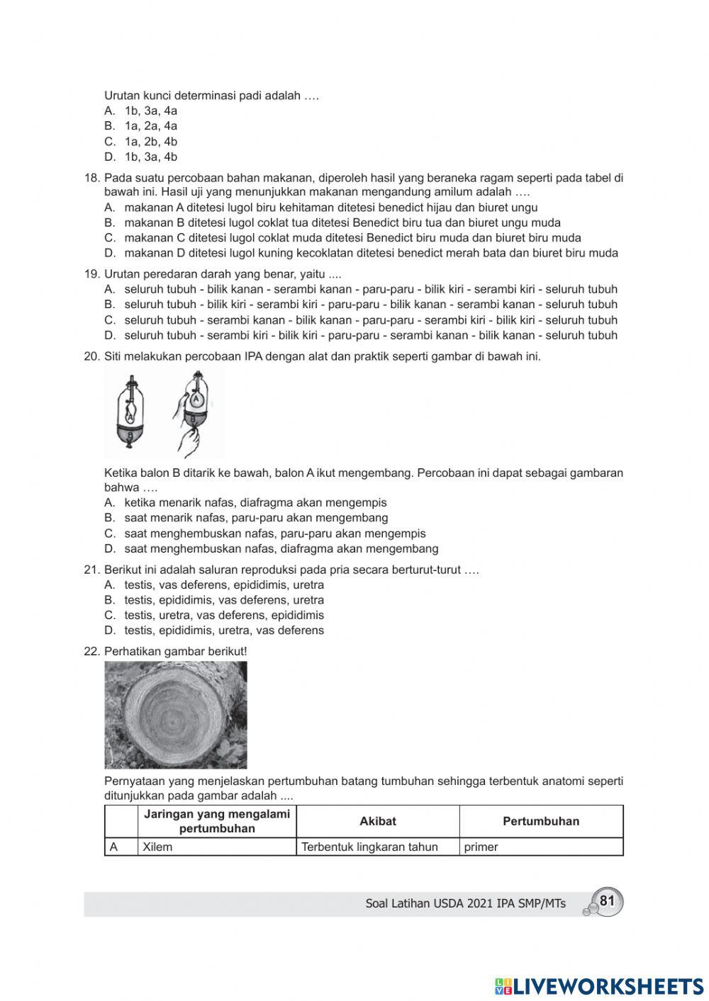 Latihan USDA worksheet | Live Worksheets
