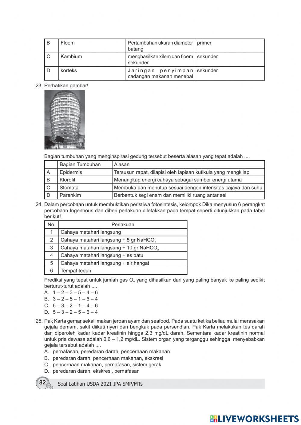 Latihan USDA worksheet | Live Worksheets