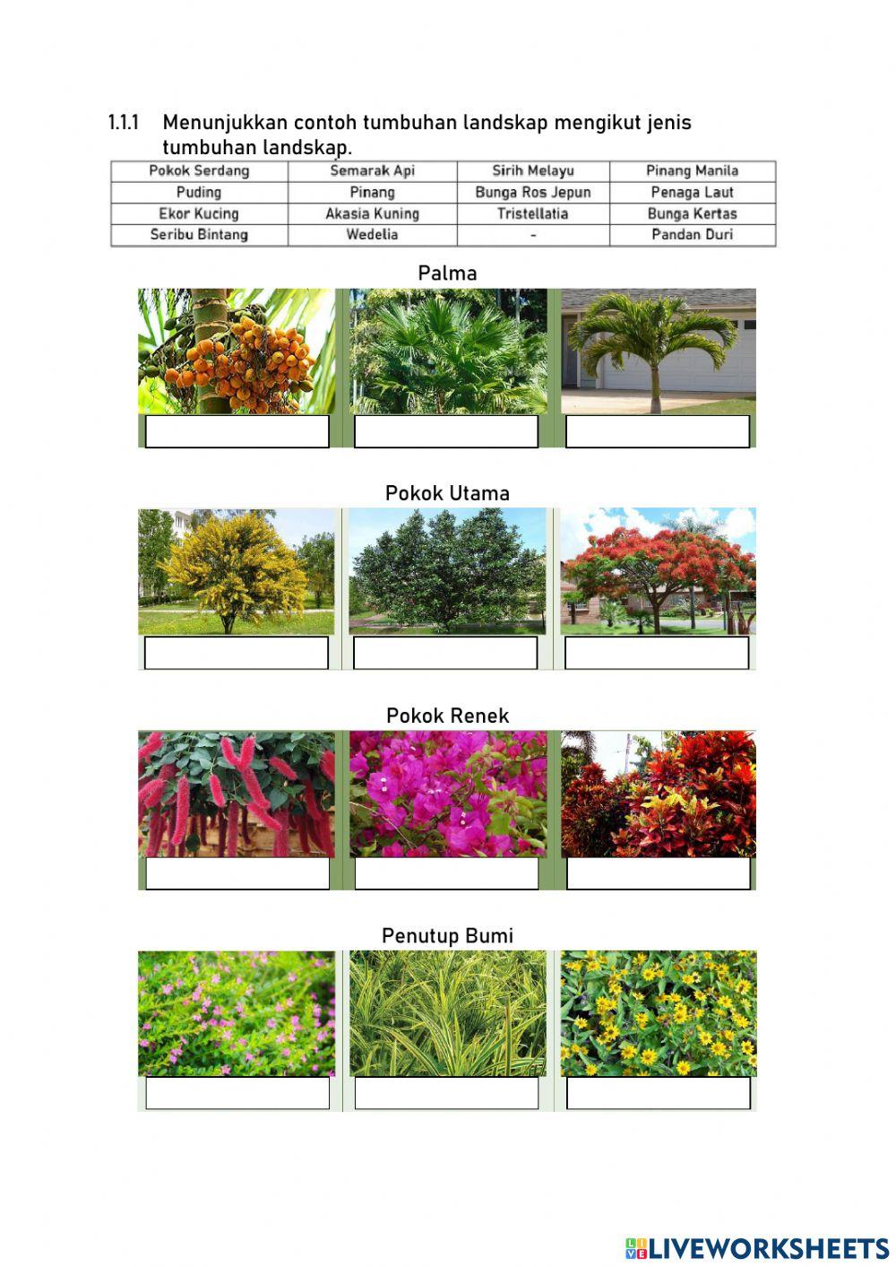Tugasan Landskap online worksheet for t4 | Live Worksheets