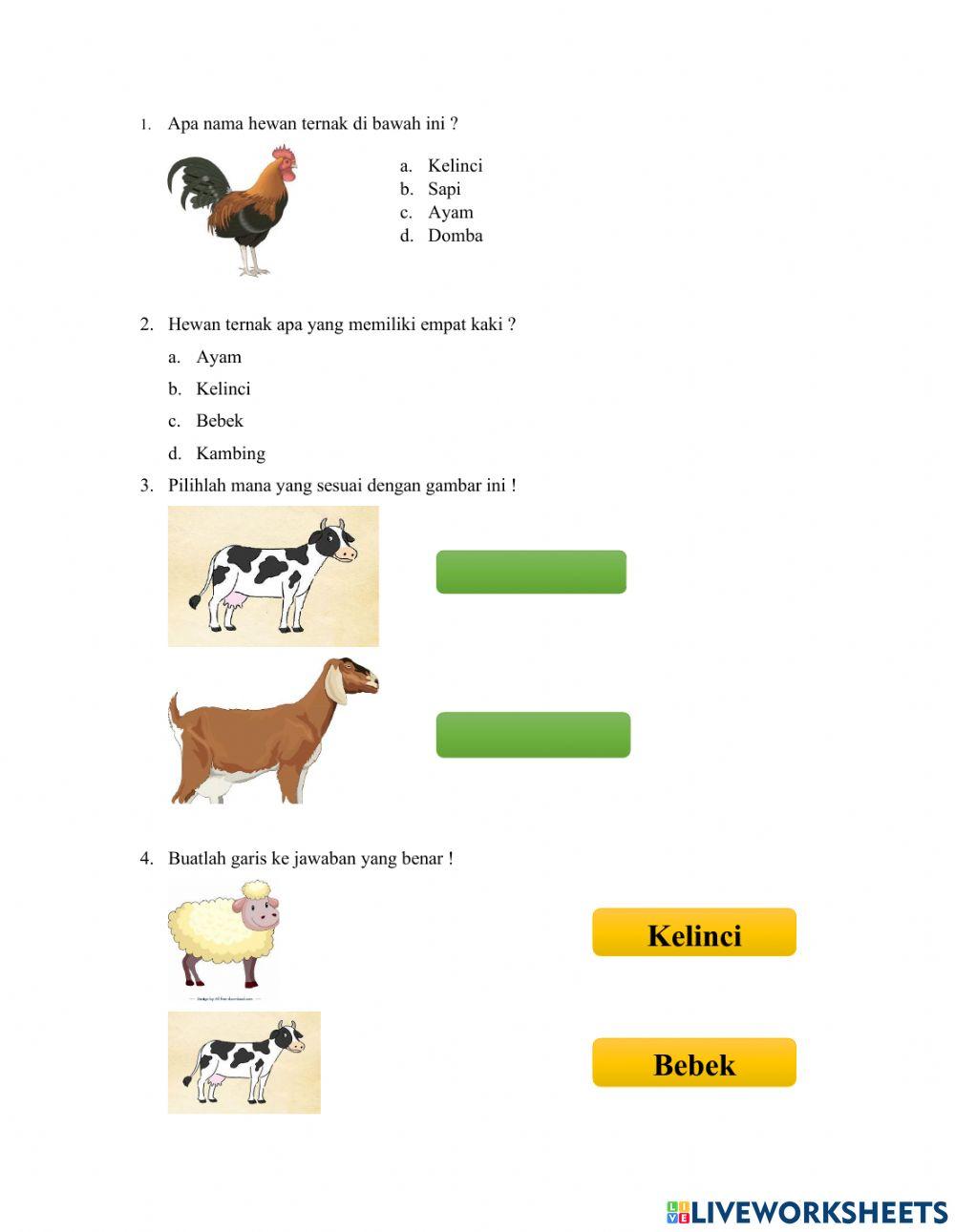 Hewan Ternak interactive worksheet | Live Worksheets
