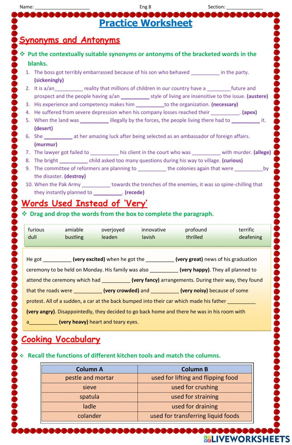 Vocabulary Drill worksheet | Live Worksheets