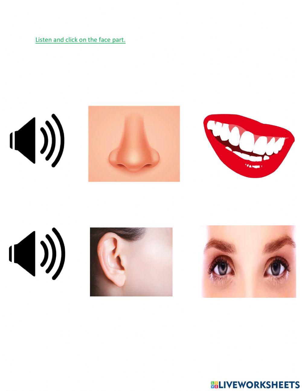 Face parts online pdf worksheet for pre-intermediate | Live Worksheets