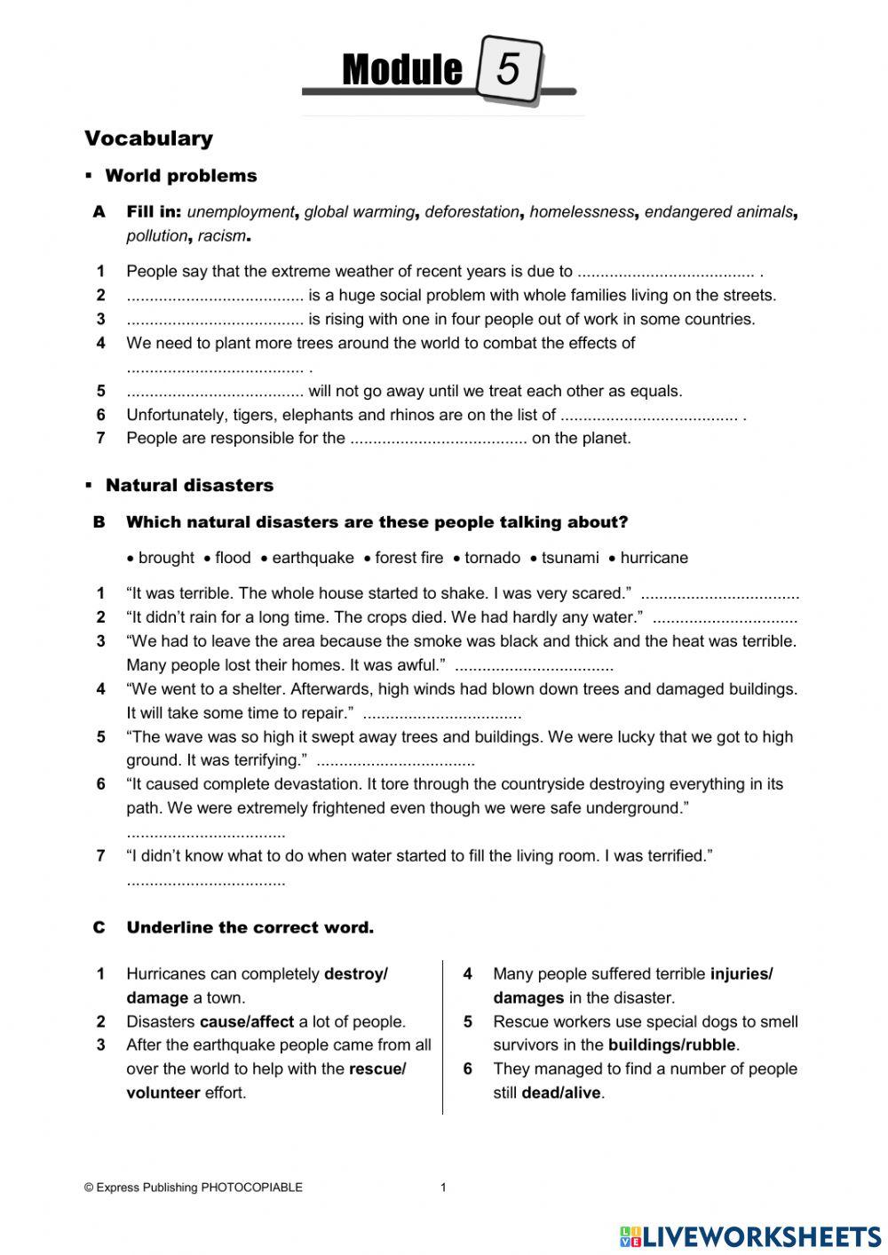 Test 2 (8th grade) online exercise for | Live Worksheets