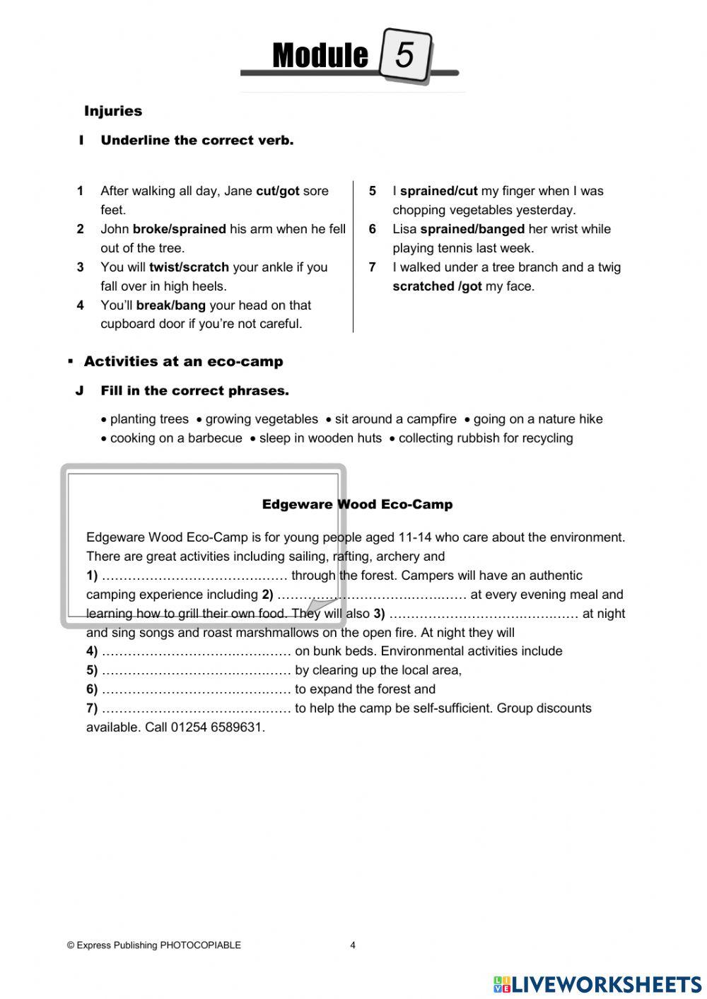 Test 2 (8th grade) online exercise for | Live Worksheets