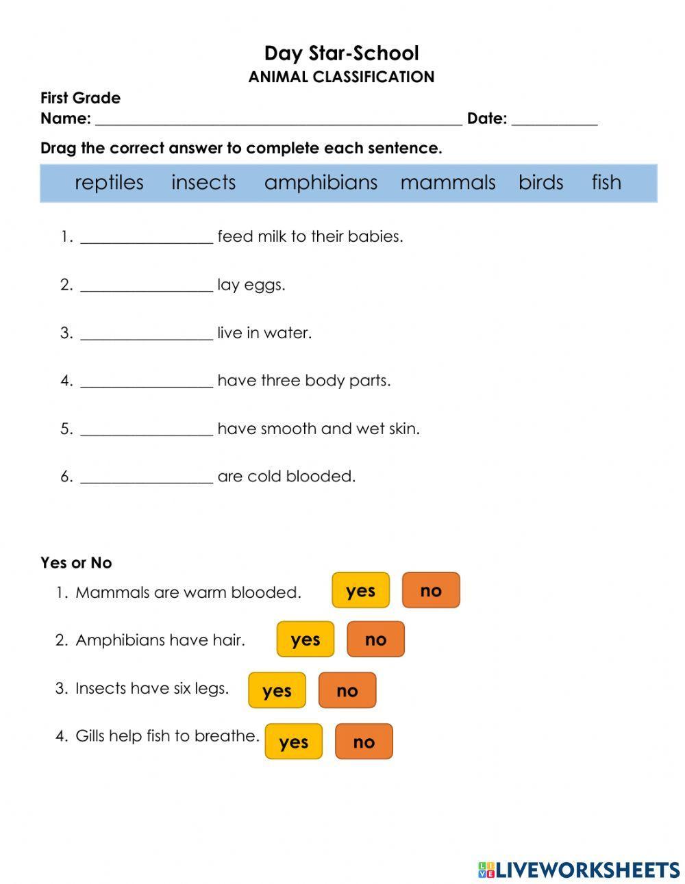 1927458 | ANIMAL CLASSIFICATION FINAL WORKSHEET | Lisby