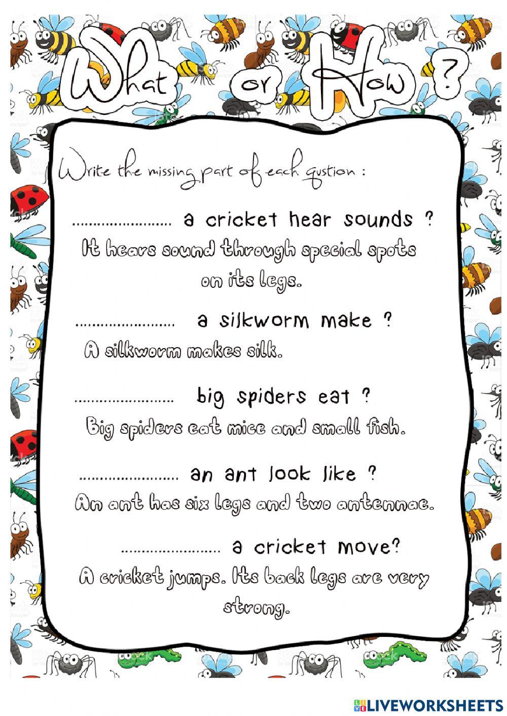 706833 | How or what | sumayya Alshehhi | LiveWorksheets