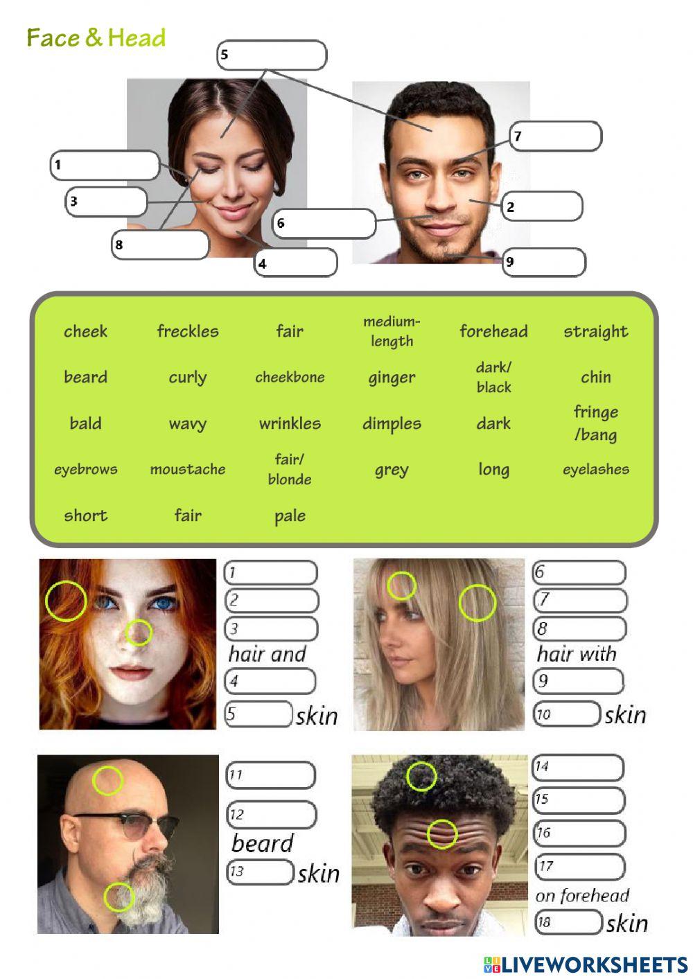 Head and Face interactive worksheet | Live Worksheets