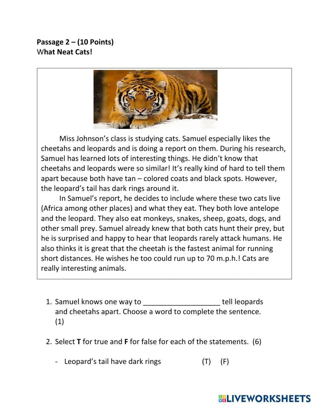 Compare & Contrast activity | Live Worksheets