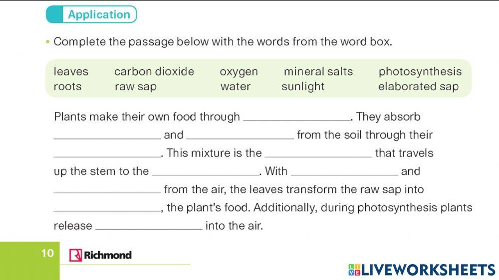 Application Page 10 worksheet | Live Worksheets