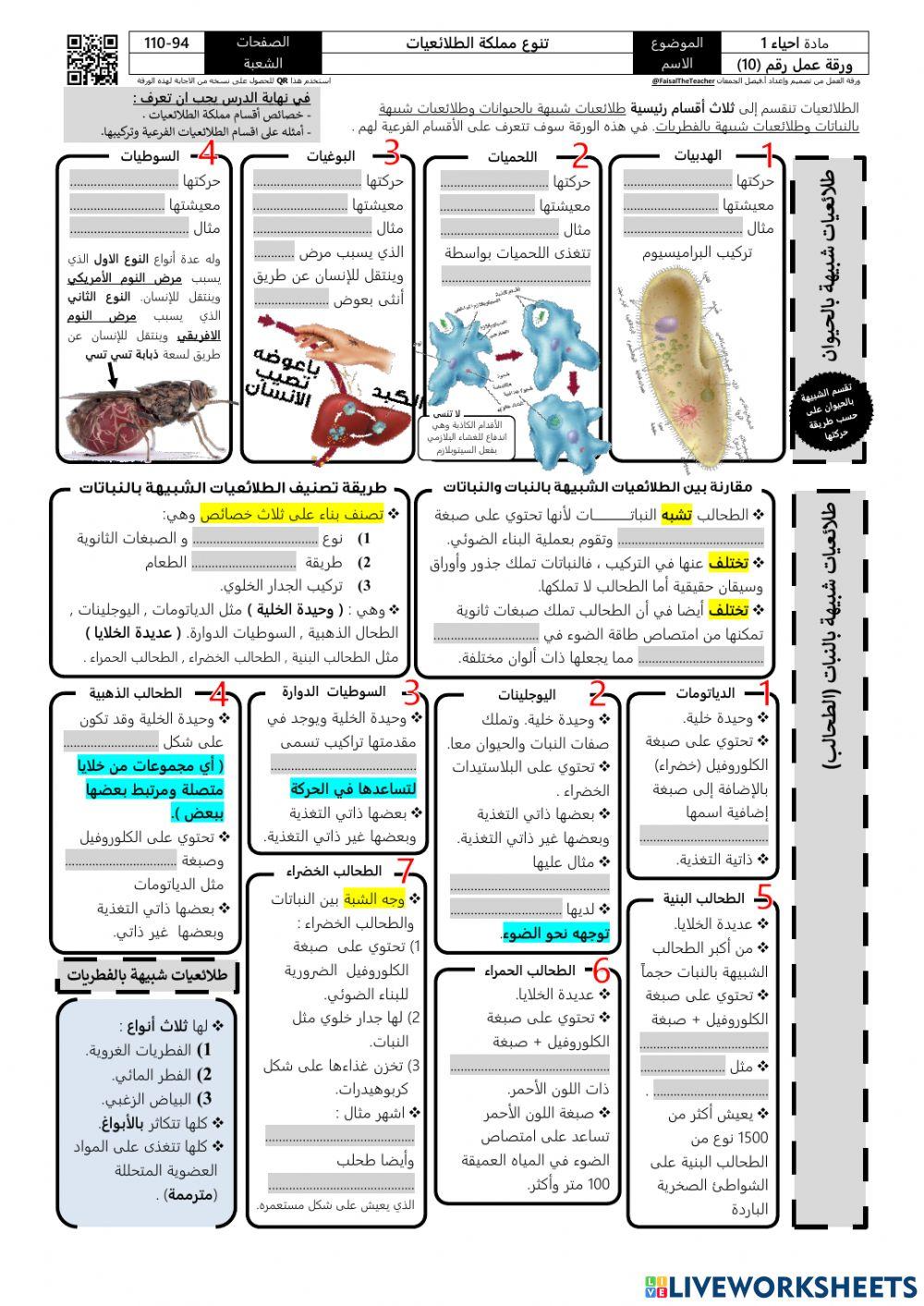 Biology interactive worksheet for grade10 | Live Worksheets