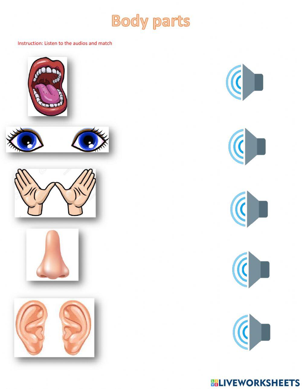 769489 | Parts of the body | Diana Pachon