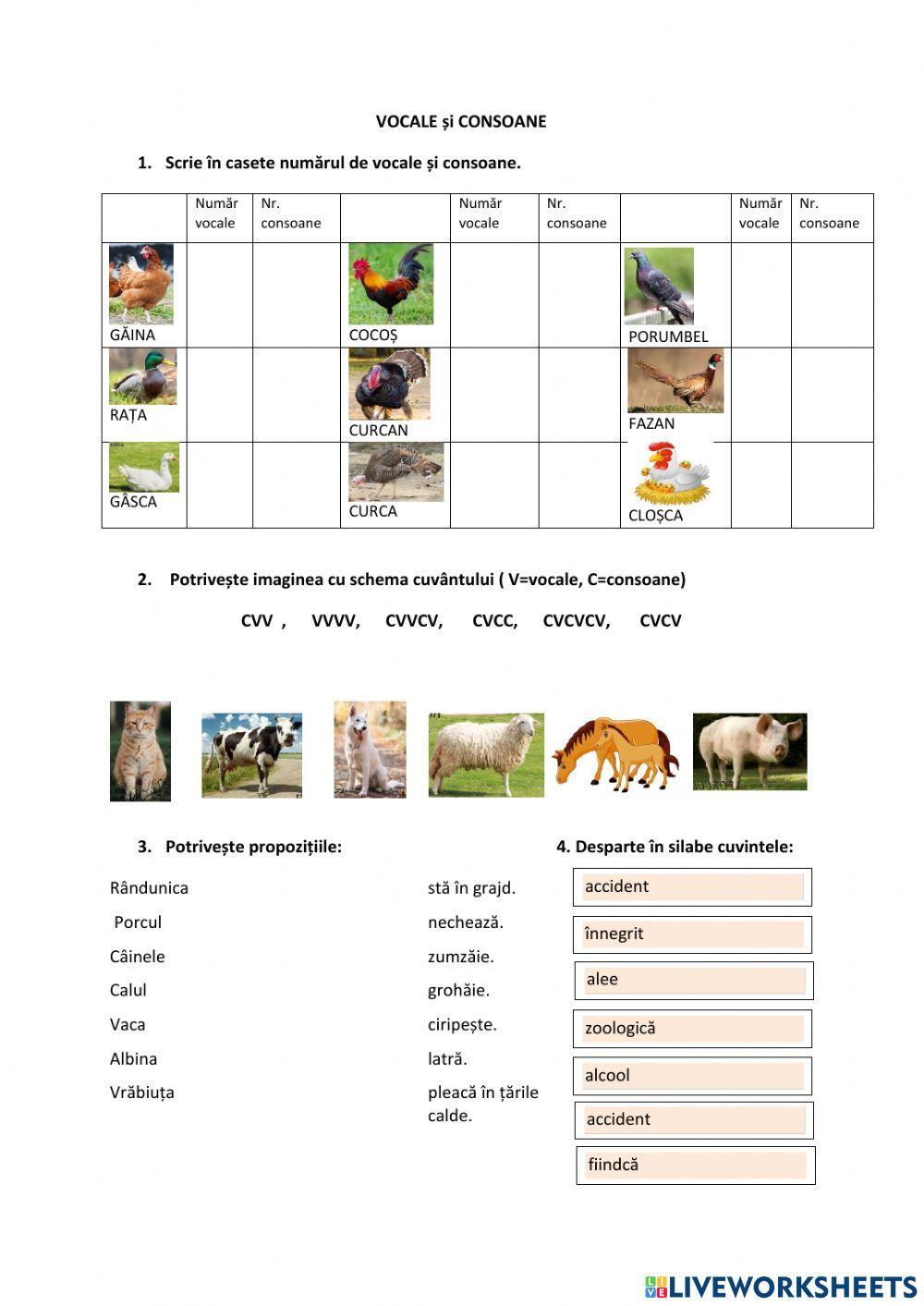 VOCALE și CONSO… | Free Interactive Worksheets | 772394