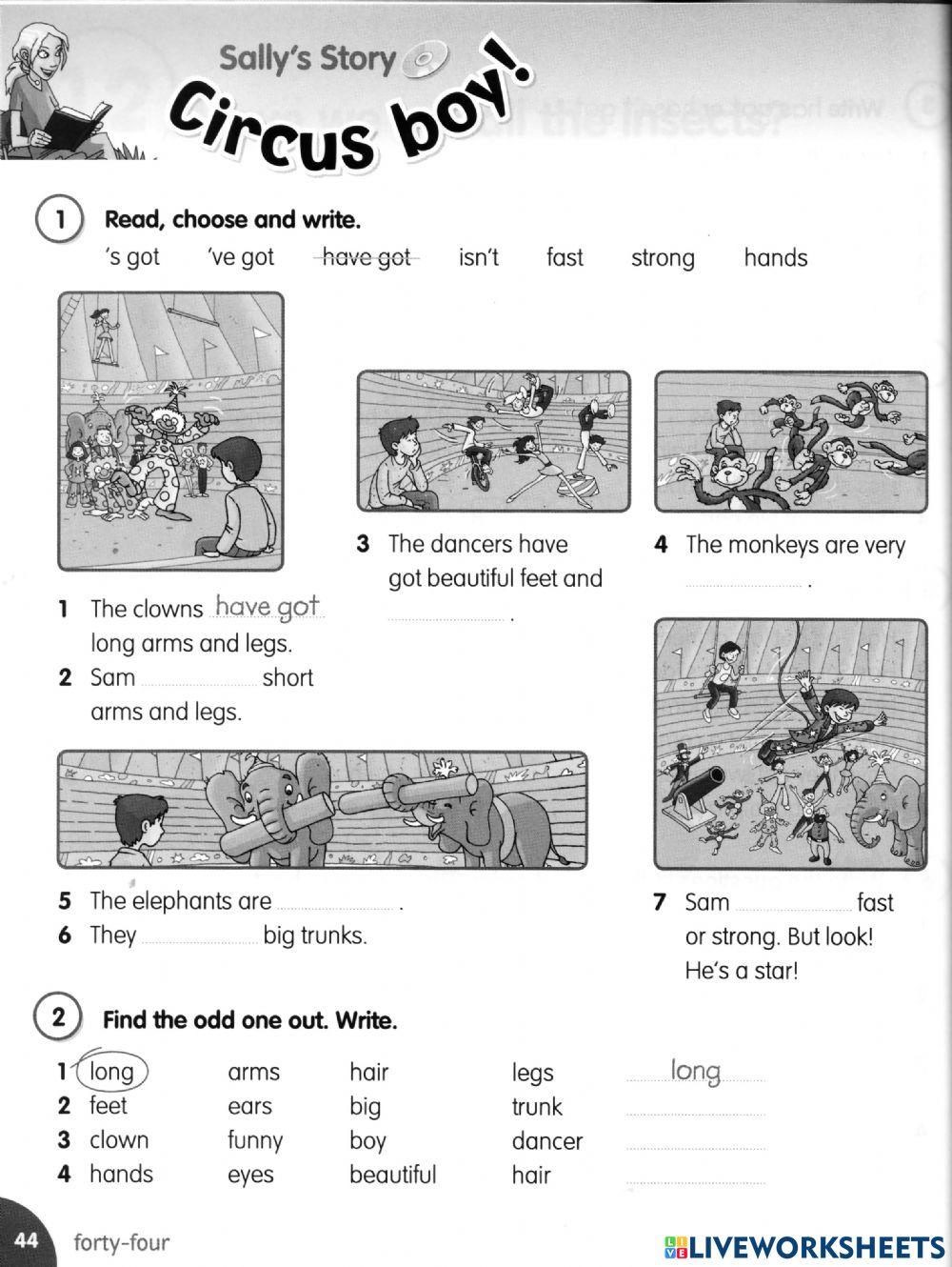 Fly High 2. Cir… | Free Interactive Worksheets | 6479340