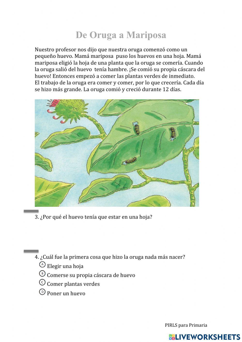 Lectura Pirls: De oruga a mariposa 02 worksheet | Live Worksheets