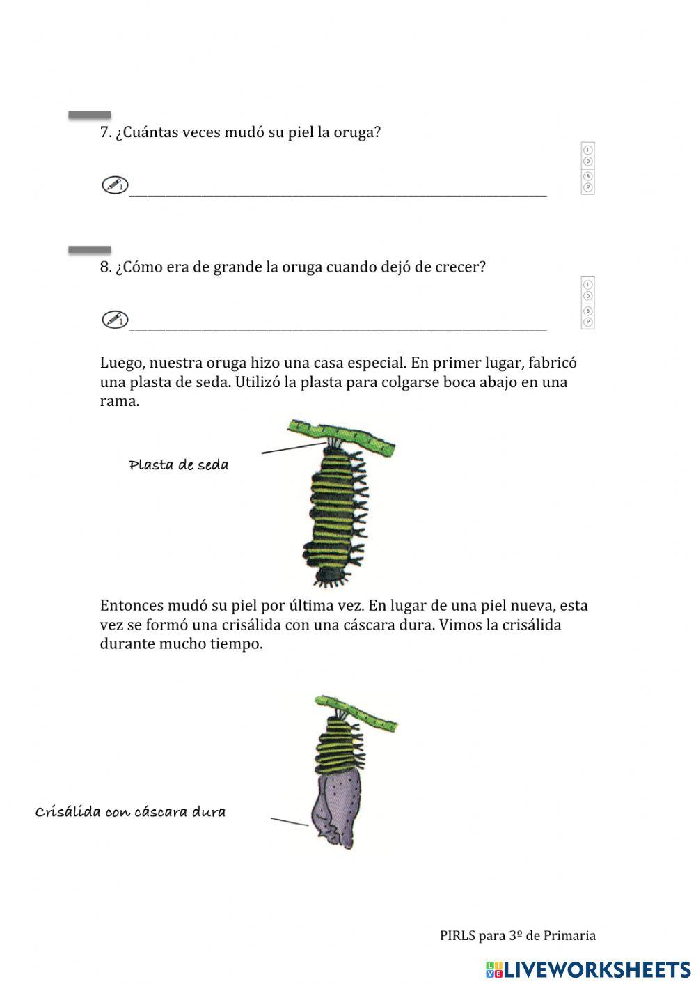 Lectura Pirls: … | Free Interactive Worksheets | 772574