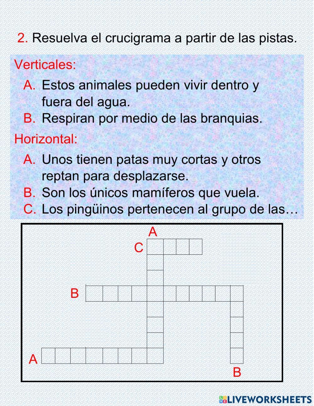 Vertebrados. worksheet | Live Worksheets