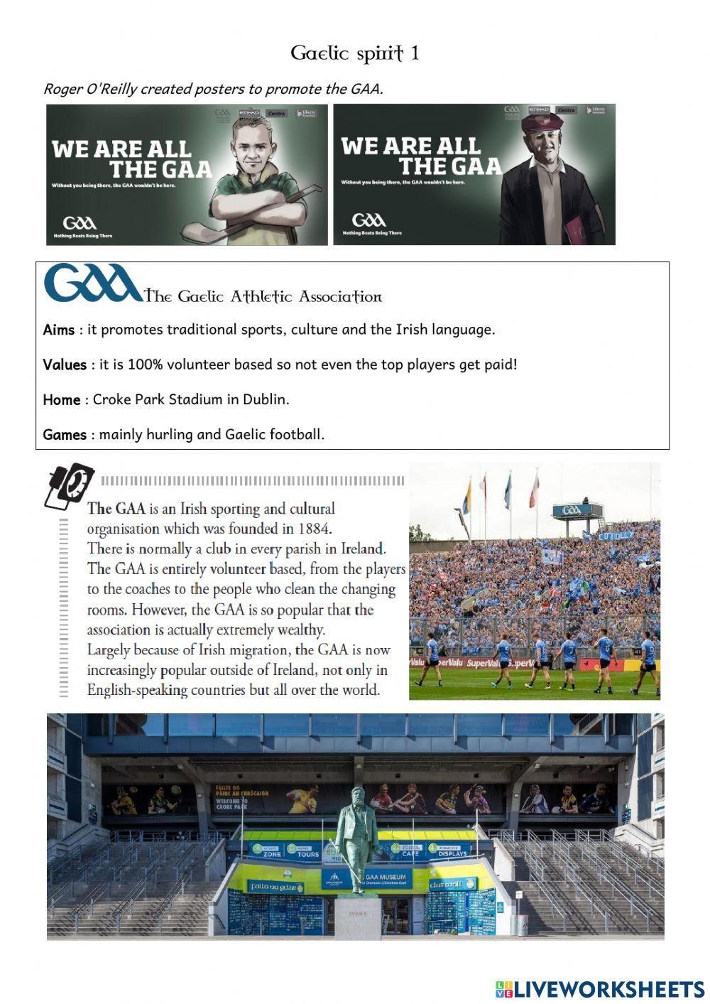 Gaelic spirit 1 802252 | Elisabeth HIGELIN | Live