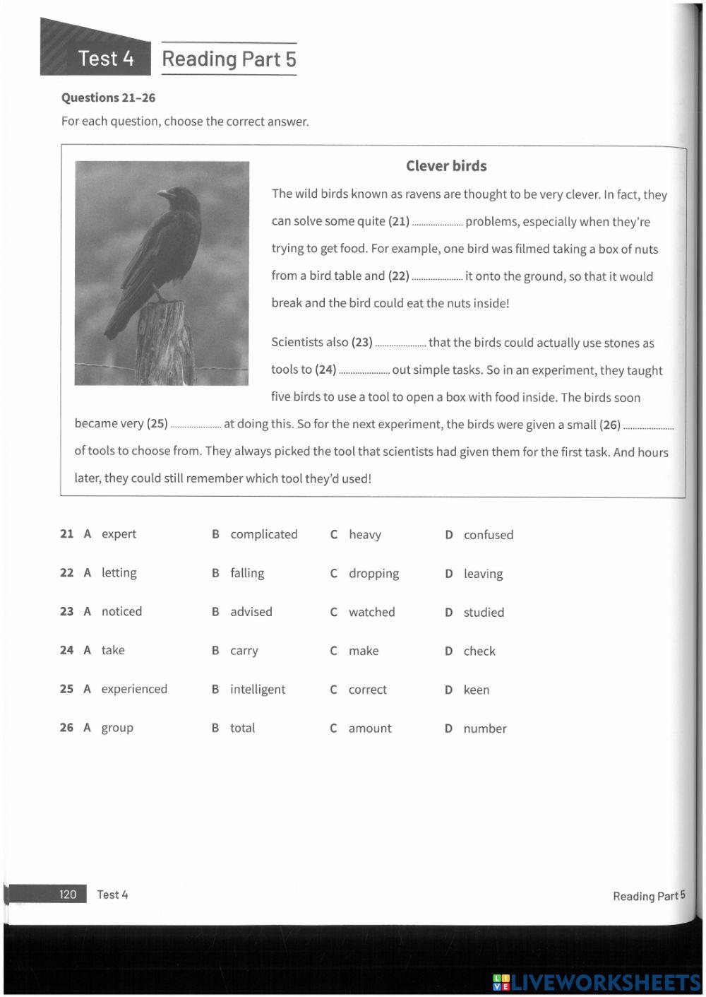 PET TRAINER READING WRI TEST 4 (PARTS 4,5,6,W) online exercise for ...