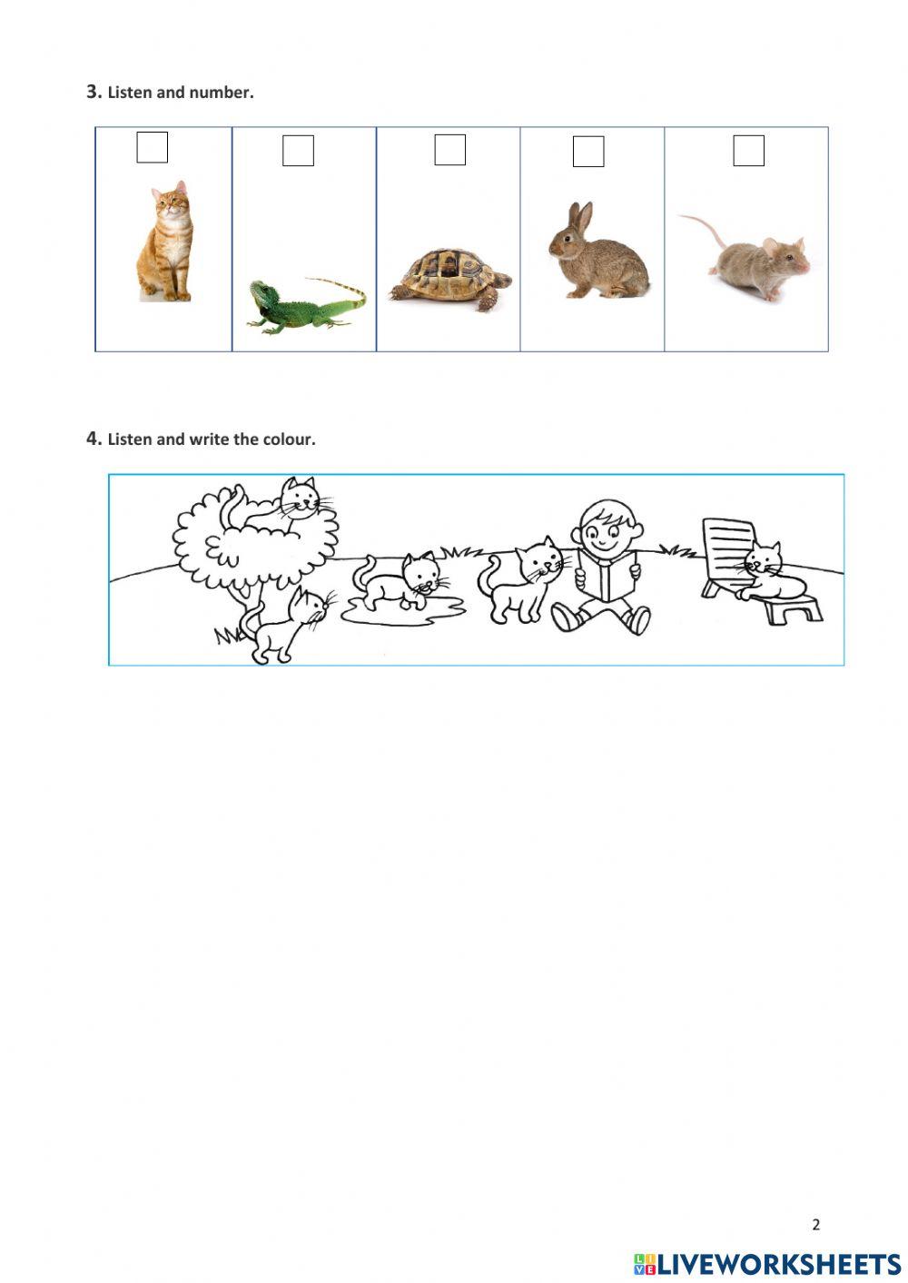 Listening exercise: third grade (new version) 4861187