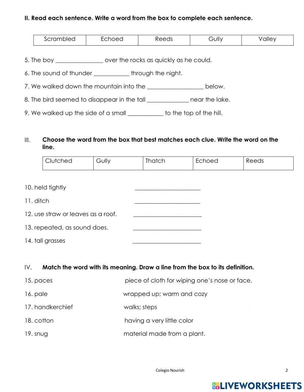 Reading March worksheet | Live Worksheets