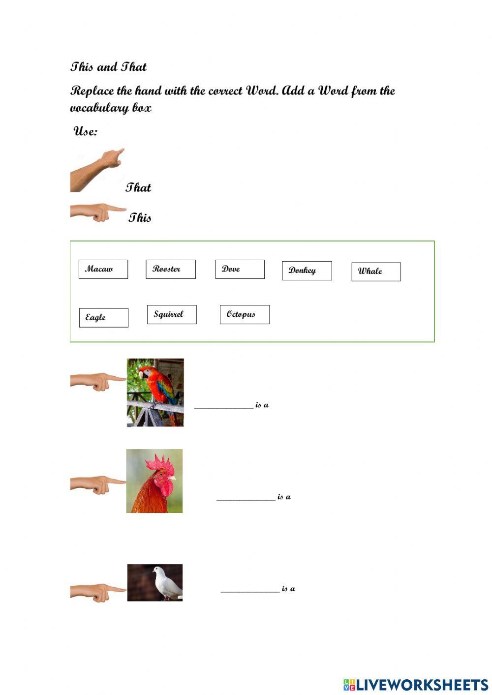 This-That 803813 | Maria Paula Osorio | Live Worksheets