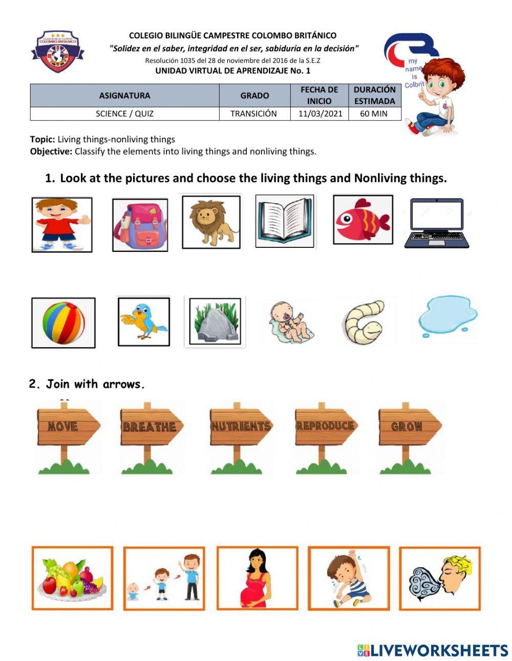 Living And Nonliving Things Exercise For Preschool Live, 43% OFF