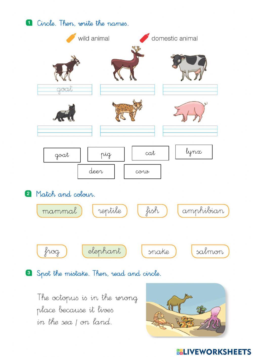 laurigua | Animals 806897 | LiveWorksheets