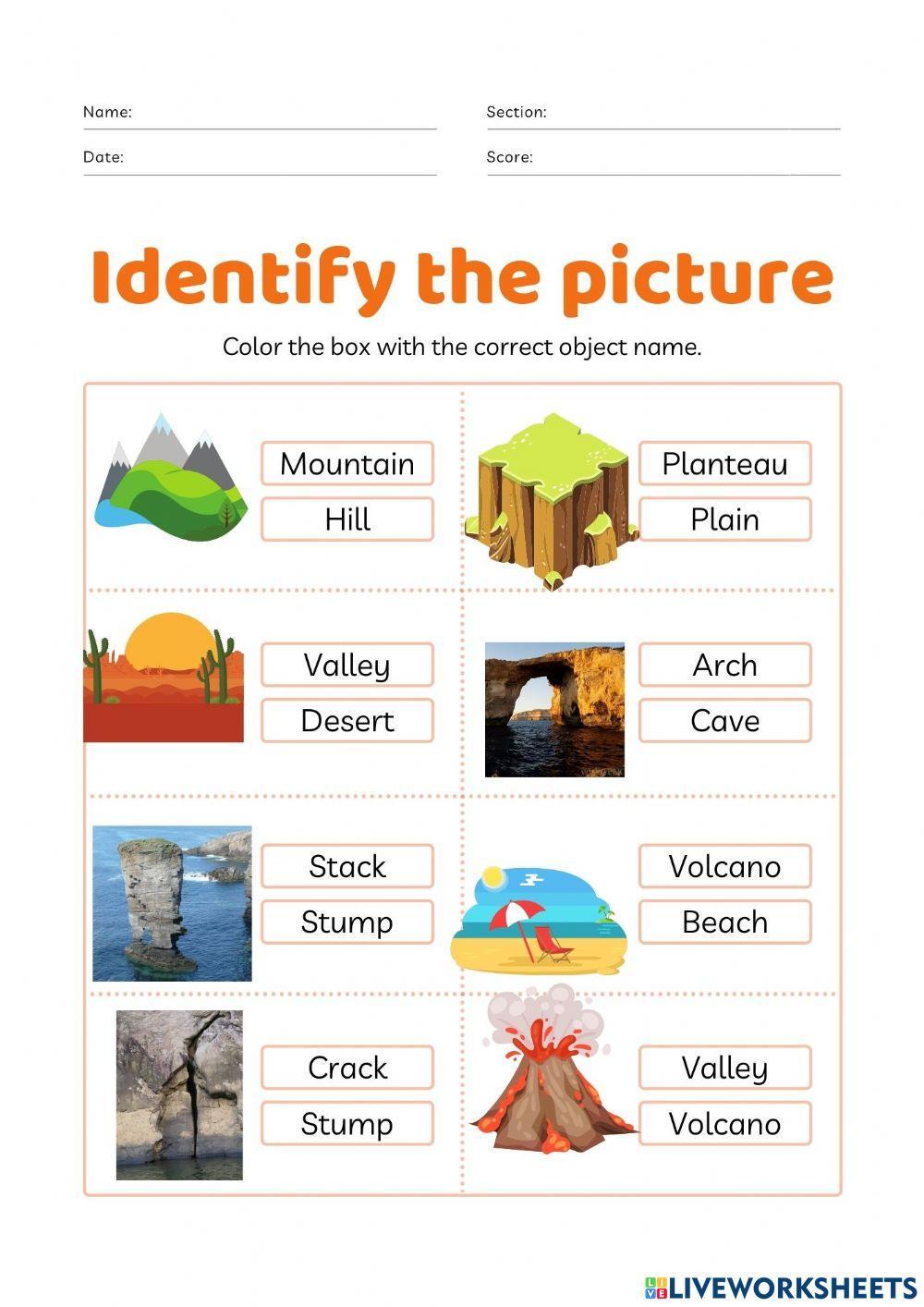 Landforms | Free Interactive Worksheets | 807459