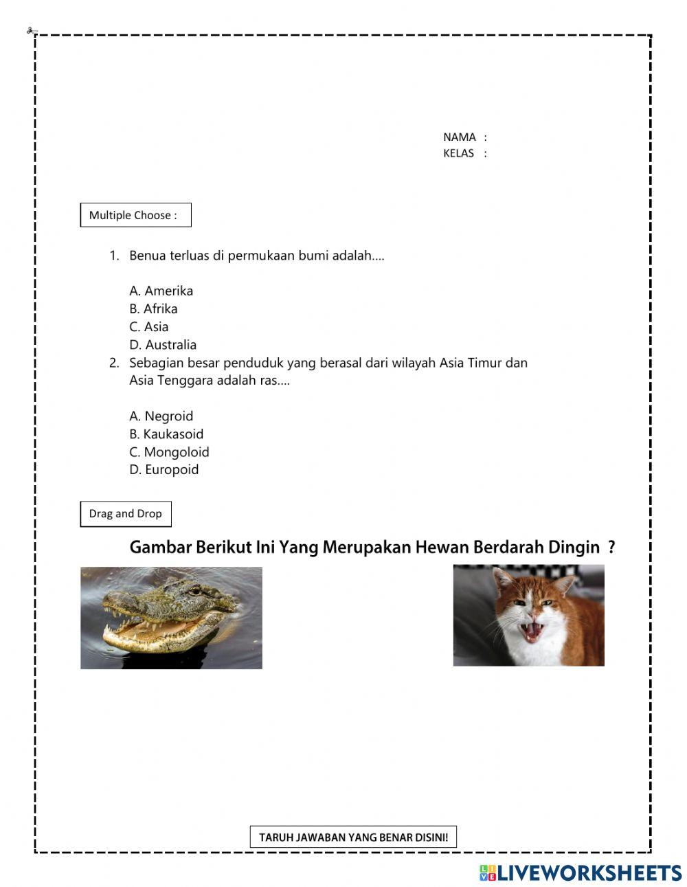 Liveworksheet interactive exercise | Live Worksheets