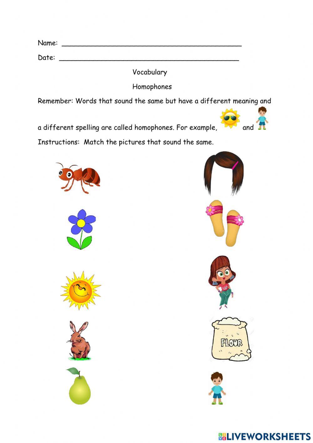 Homophones- pictures grade 1 online exercise for | Live Worksheets