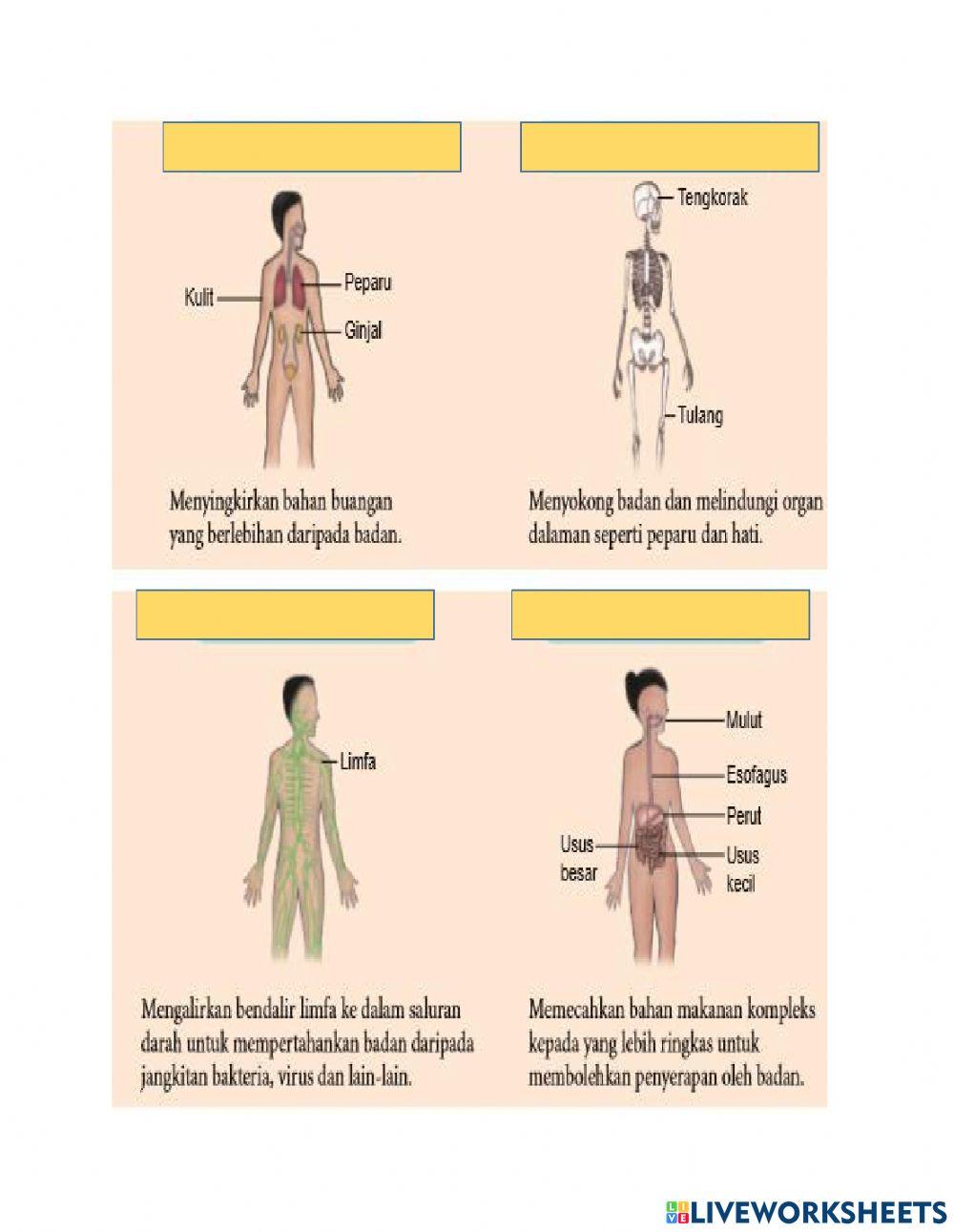 Sains form 1 exercise | Live Worksheets