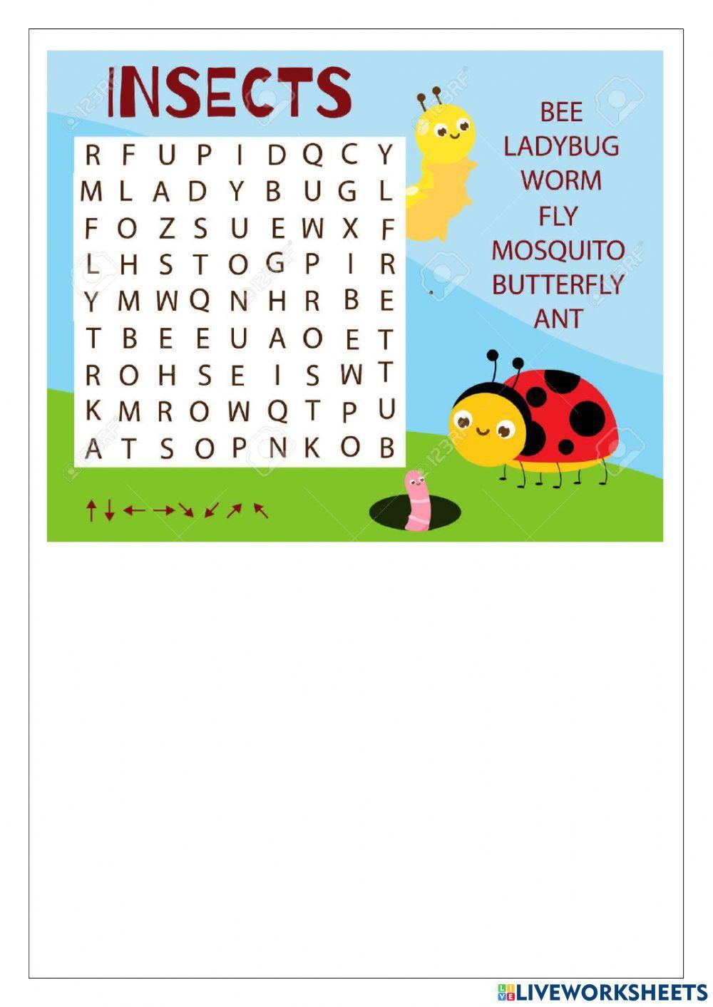 Field trip interactive worksheet | Live Worksheets