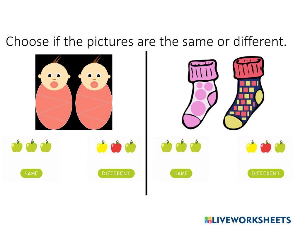 Same-Different | Free Interactive Worksheets | 812051