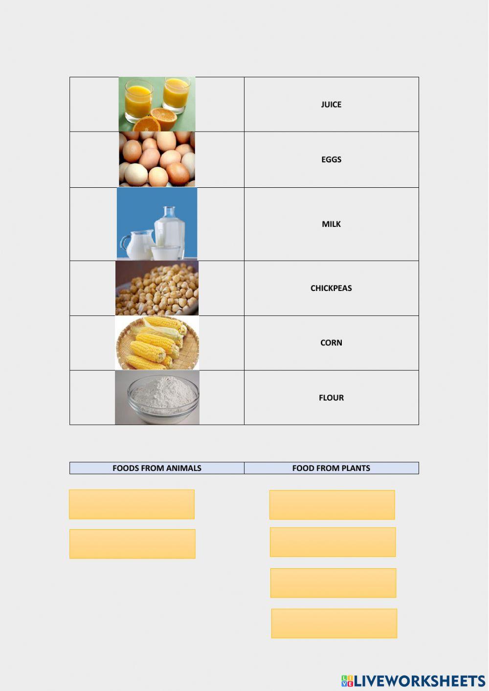Where food come from | María Cristina Ruiz Gil | Live