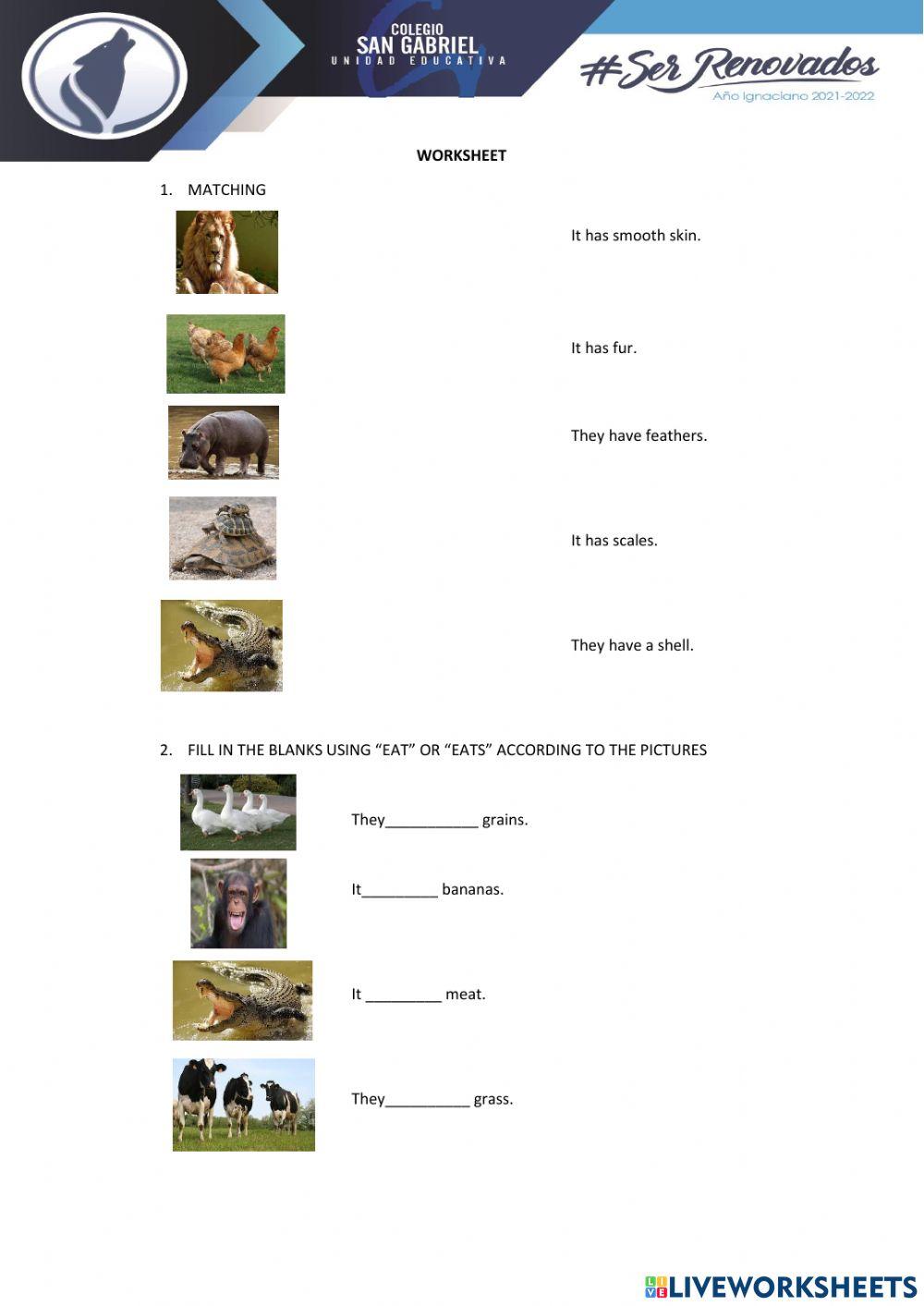 Review animals activity | Live Worksheets