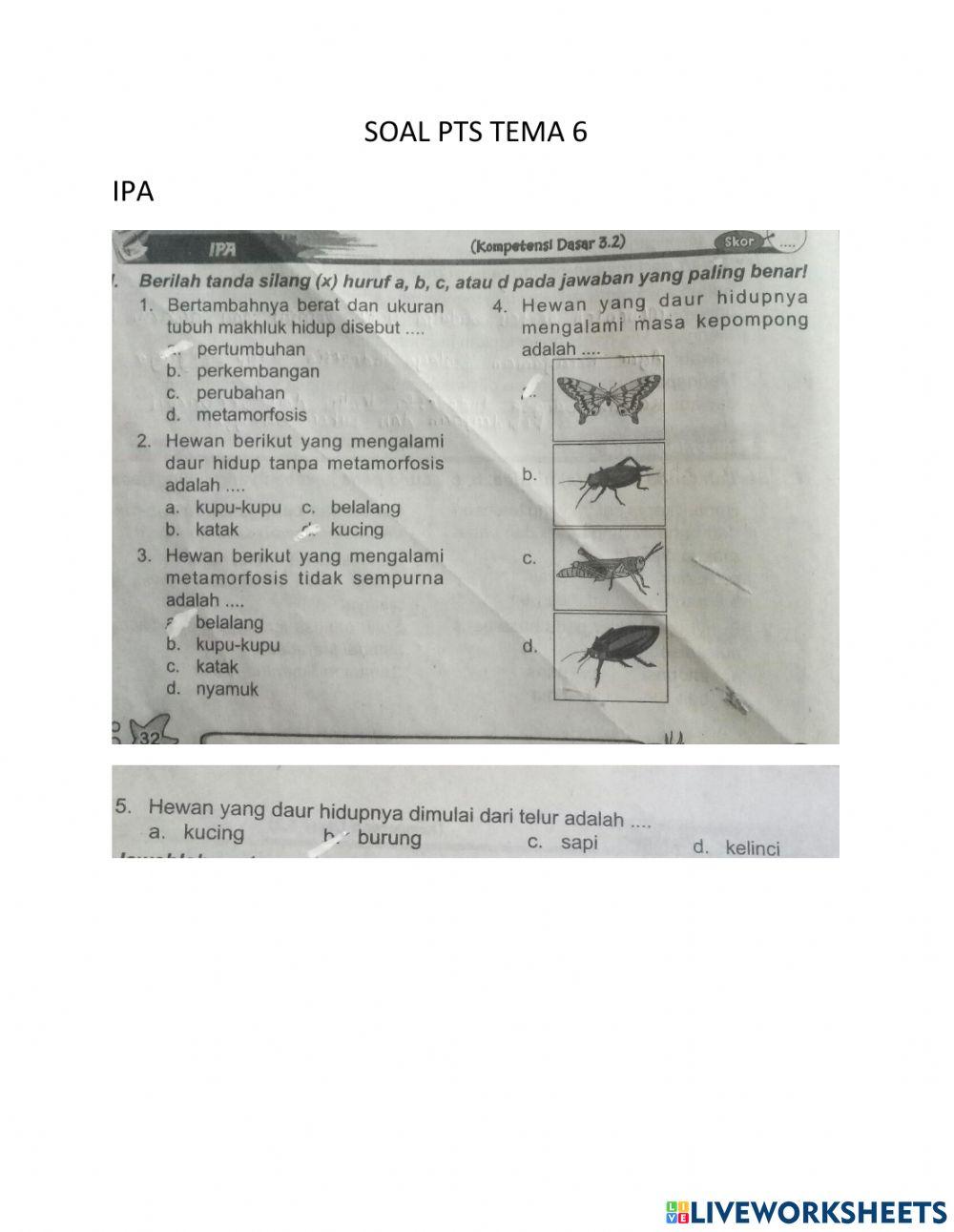 Pts tema 6 ipa 815396 | luh kade sri budiastuti | Live
