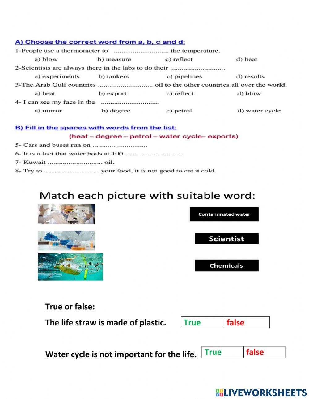 Unit 8 worksheet | Live Worksheets