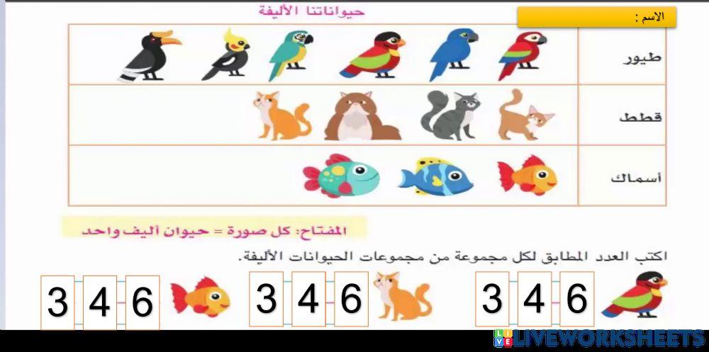 تمثيل بياني بالصور Interactive Worksheet Live Worksheets