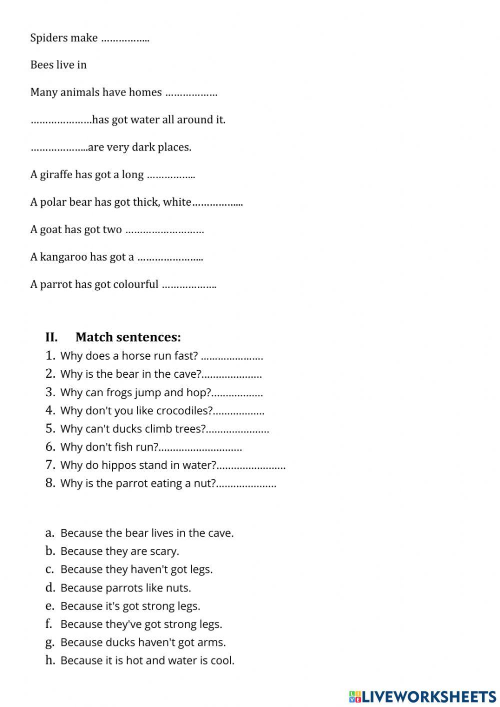 4876789 | OW3- unit 5 | Aleksandra Włosek