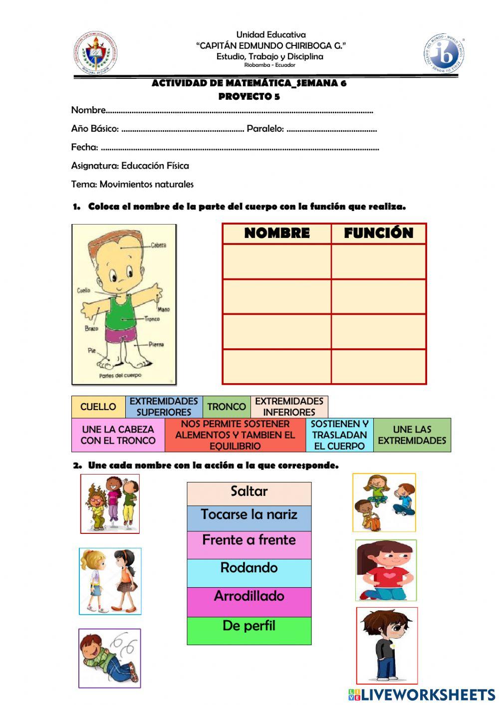 Esquema corporal online exercise | Live Worksheets