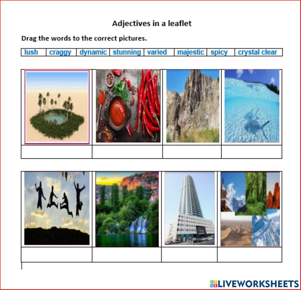 leaflet (9B) online exercise for | Live Worksheets