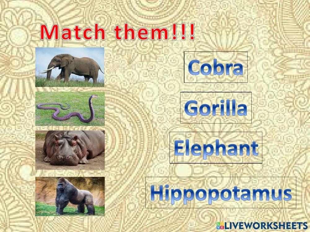 Describing animals online pdf worksheet | Live Worksheets