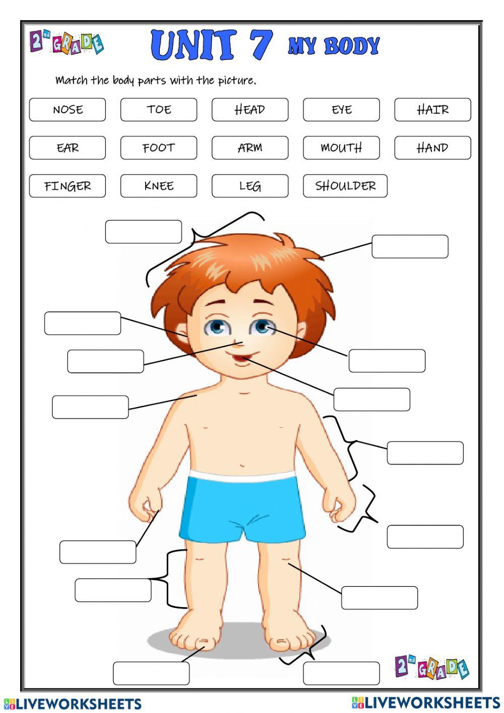 Ingles - Parts of the body 6484572 | mjdiaz | Live