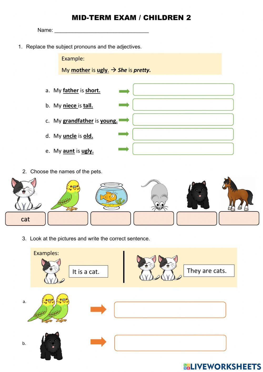 midterm exam- c… | Free Interactive Worksheets | 4882233